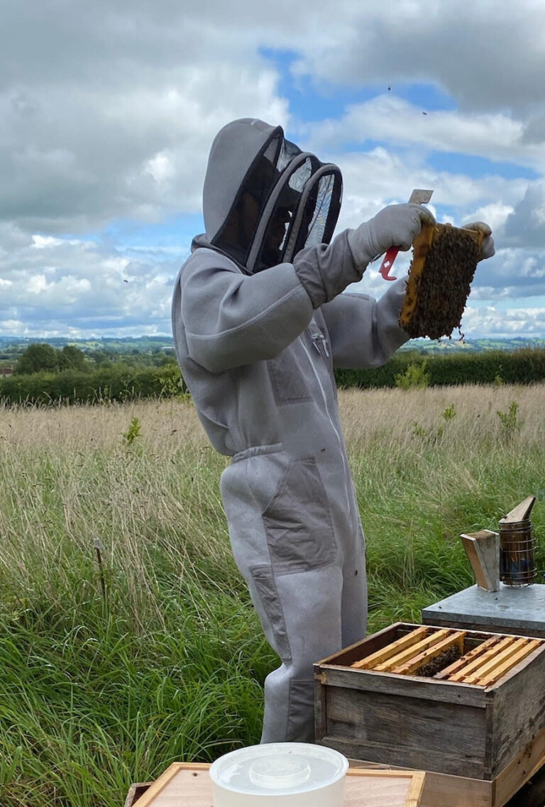 Beekeeping Experience Workshop | Overleigh Apiaries | Old Oaks